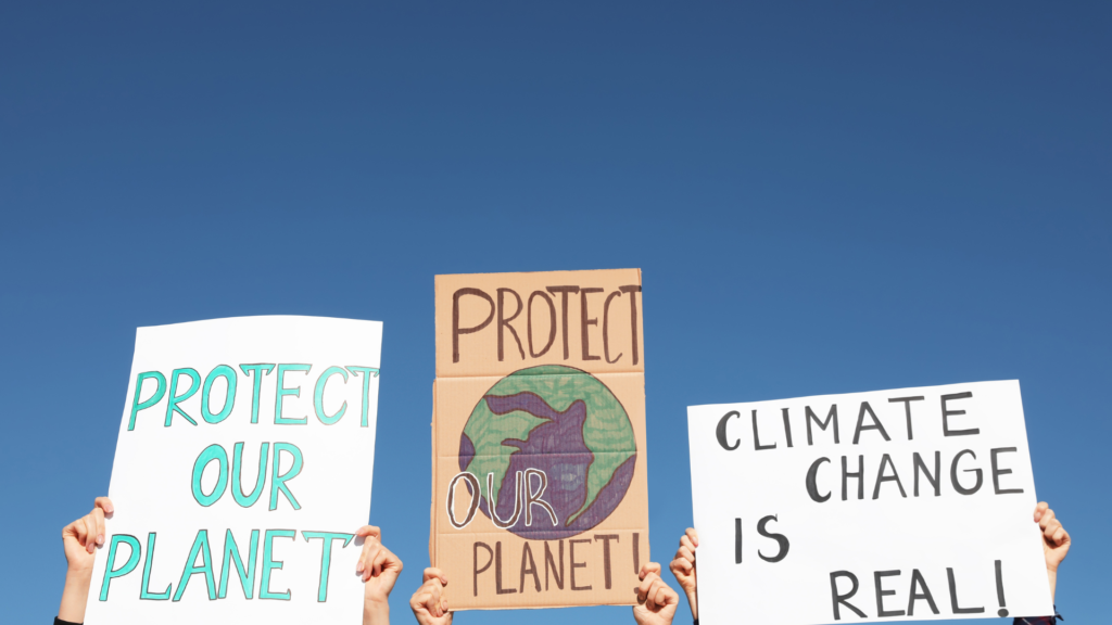 So You've Declared a Climate Emergency... Now What? - The Carbon ...