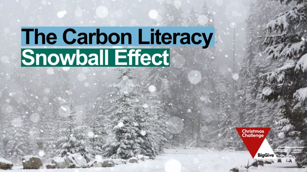 Snowball Effect Success! - The Carbon Literacy Project